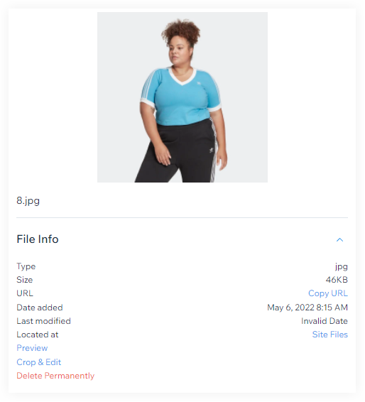 Magento 2 File Manager Extension Magezon